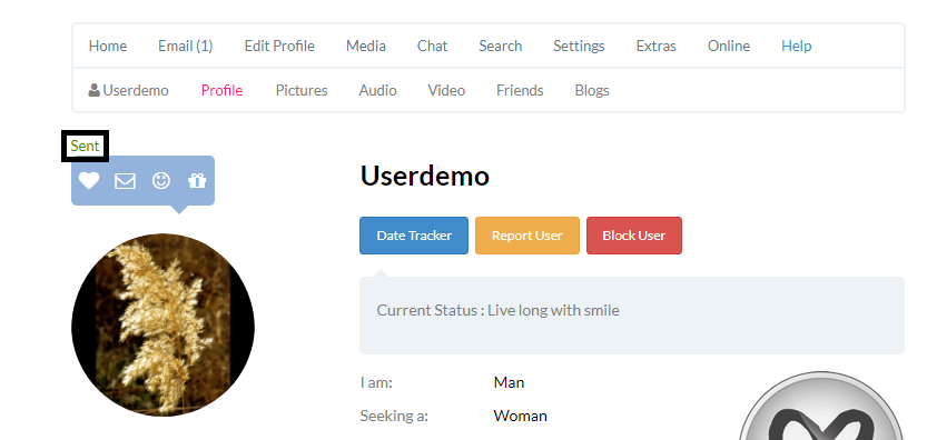 Sending Virtual Gifts | WordPress Dating Plugin