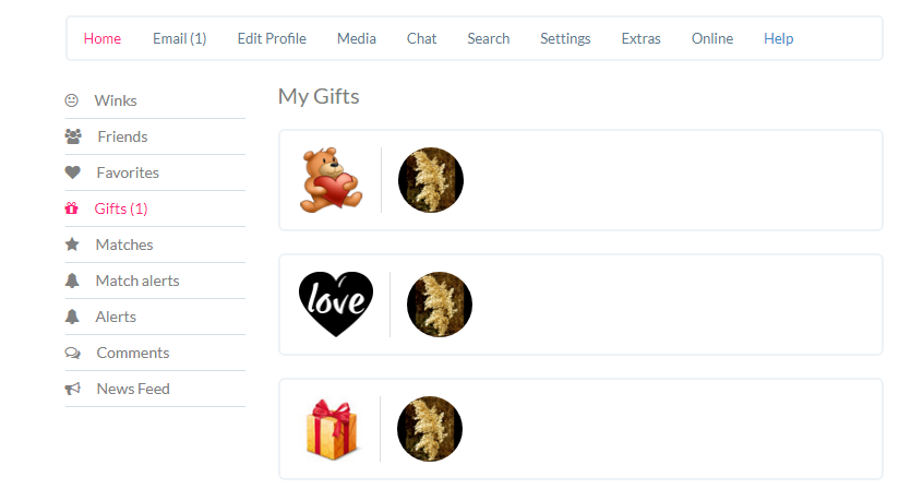 Viewing Virtual Gifts | WordPress Dating Plugin