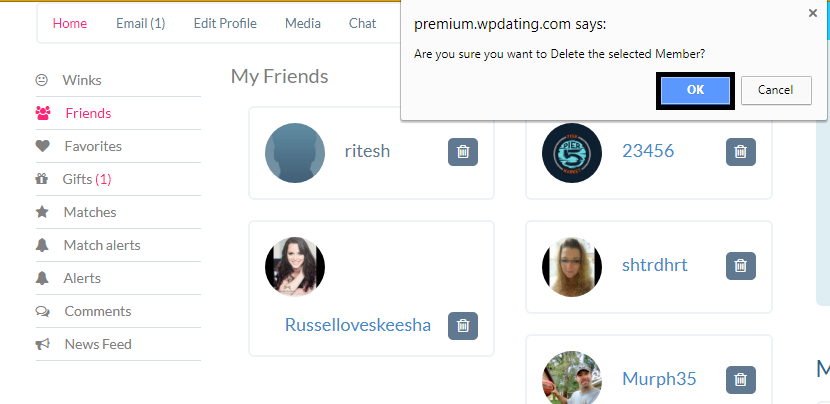 Delete from friends | WordPress Dating Plugin