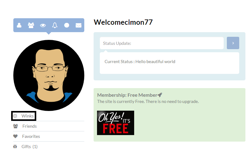Viewing winks – WordPress Dating Plugin