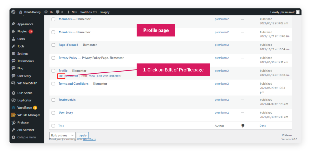 Nikaah Theme Installation Documentation | WordPress Dating Plugin